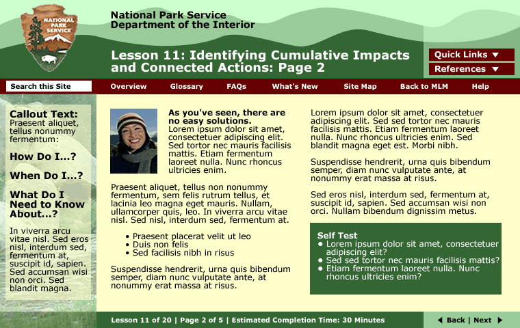 NPS Prototype Lesson Screen